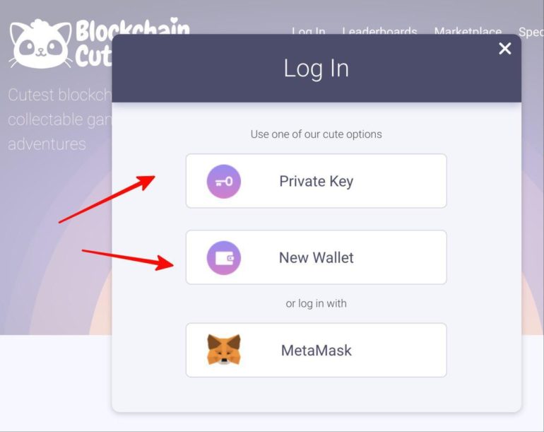 Blockchain Cuties | CryptoGamingPool